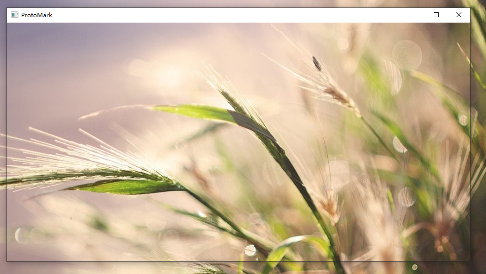 How can I prevent Avalonia starting up with a transparent background ...