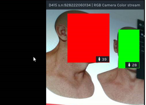 Unable to save the OpenVino identified facial bounding box to a bag file · Issue #7217 ...