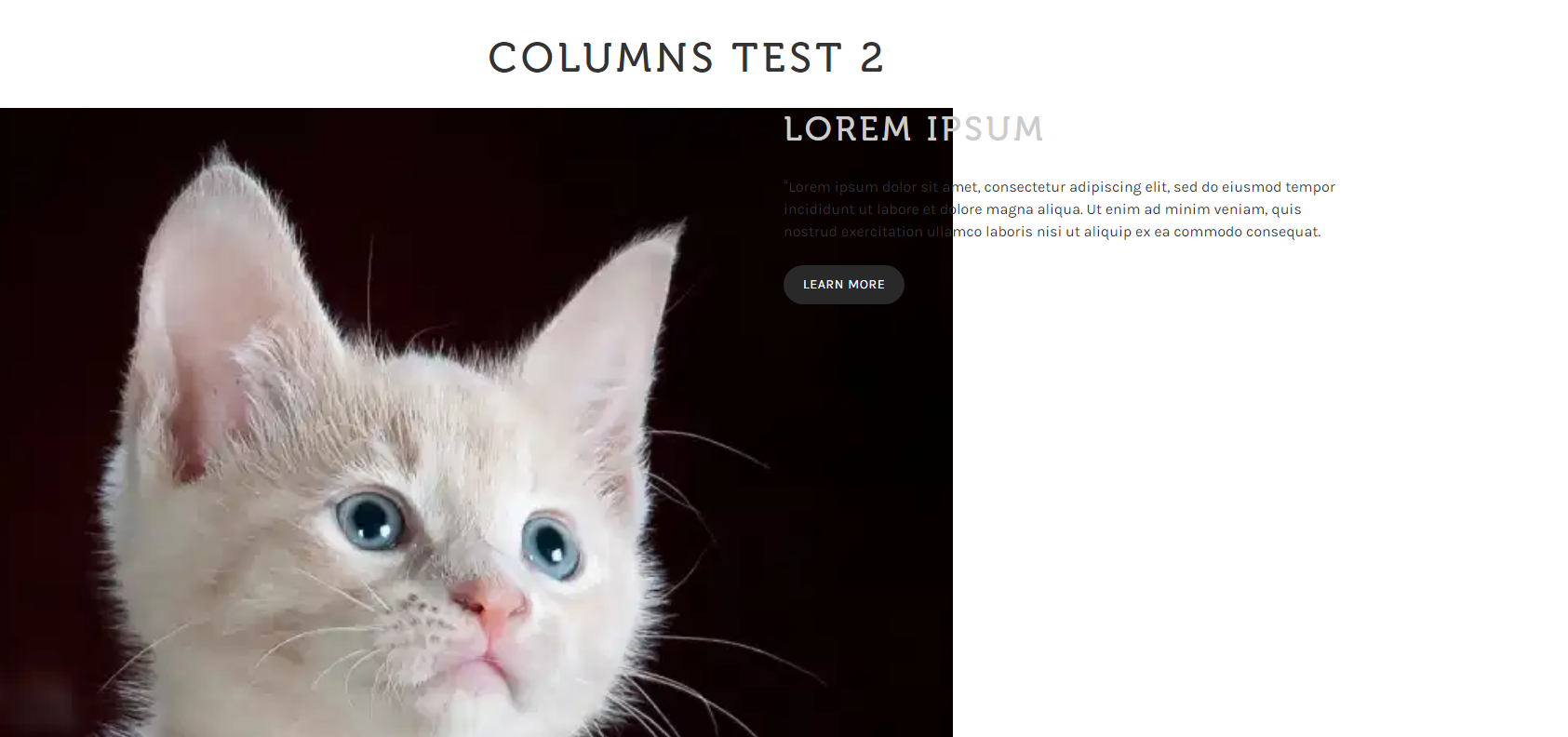 Multiple Themes: Full Width + Full Width Columns + Wide Width Image = Broken Columns · Issue ...