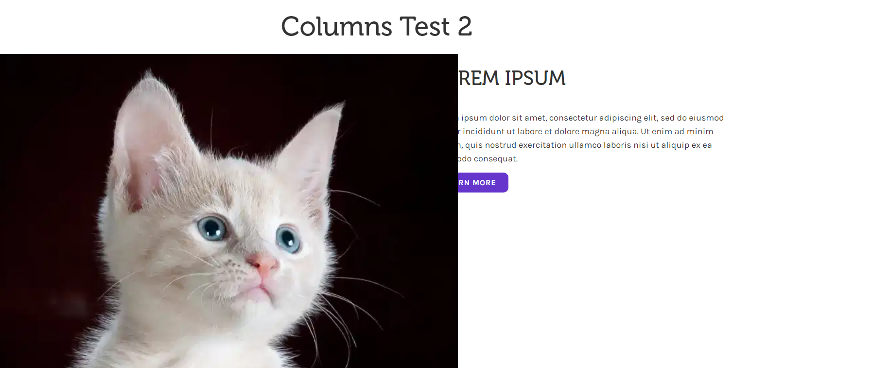 Multiple Themes: Full Width + Full Width Columns + Wide Width Image = Broken Columns · Issue ...