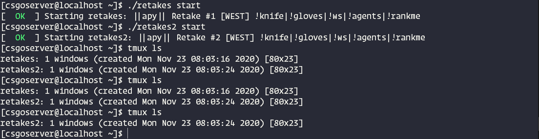Multiple game servers same instance · Issue #3111 · GameServerManagers/LinuxGSM · GitHub