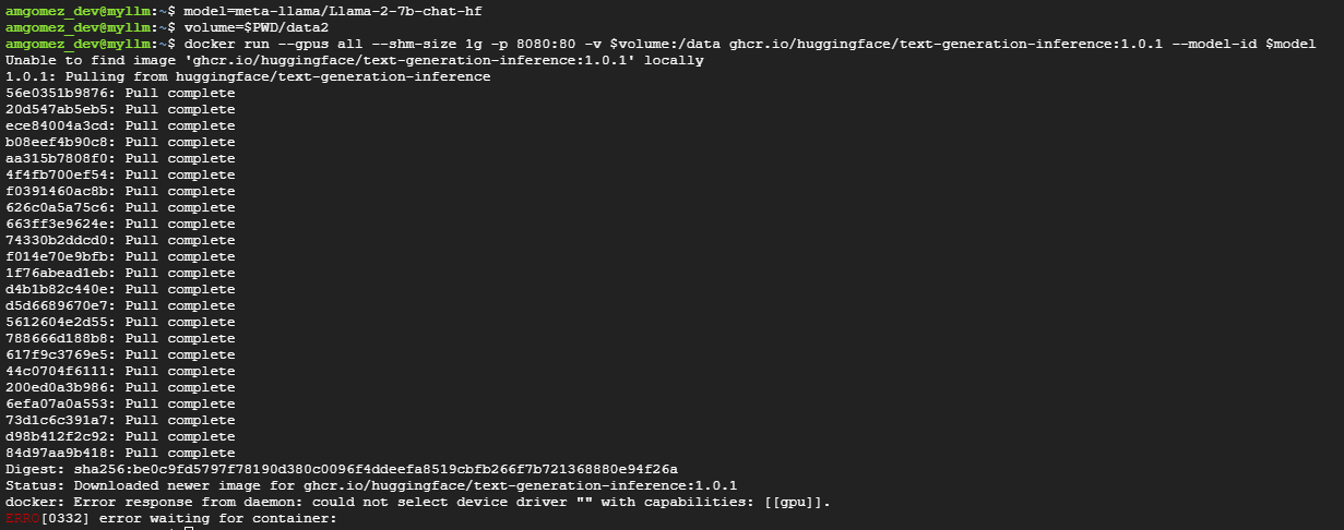 Error when launching docker run --gpus all · Issue #904 · huggingface/text-generation-inference ...