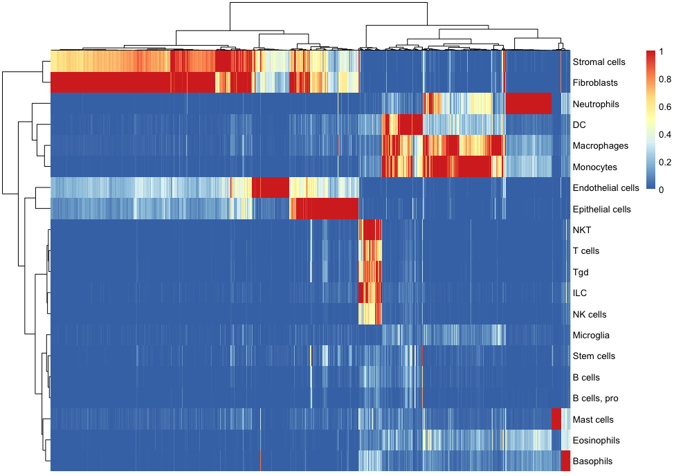 plotScoreHeatmap Error · Issue #31 · SingleR-inc/SingleR · GitHub