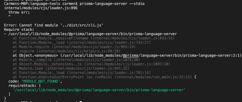prisma-language-server cannot be ran as command · Issue #566 · prisma/language-tools · GitHub