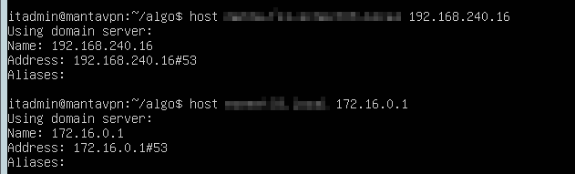 Unable to use search domain · Issue #1156 · trailofbits/algo · GitHub