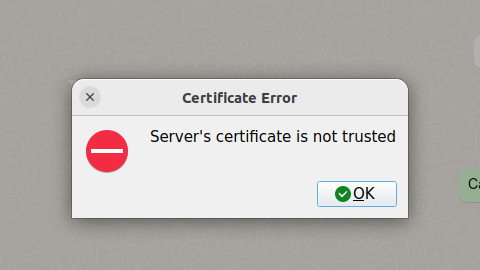 Error: "Server's certificate is not trusted." · Issue #81 · keshavbhatt/whatsie · GitHub