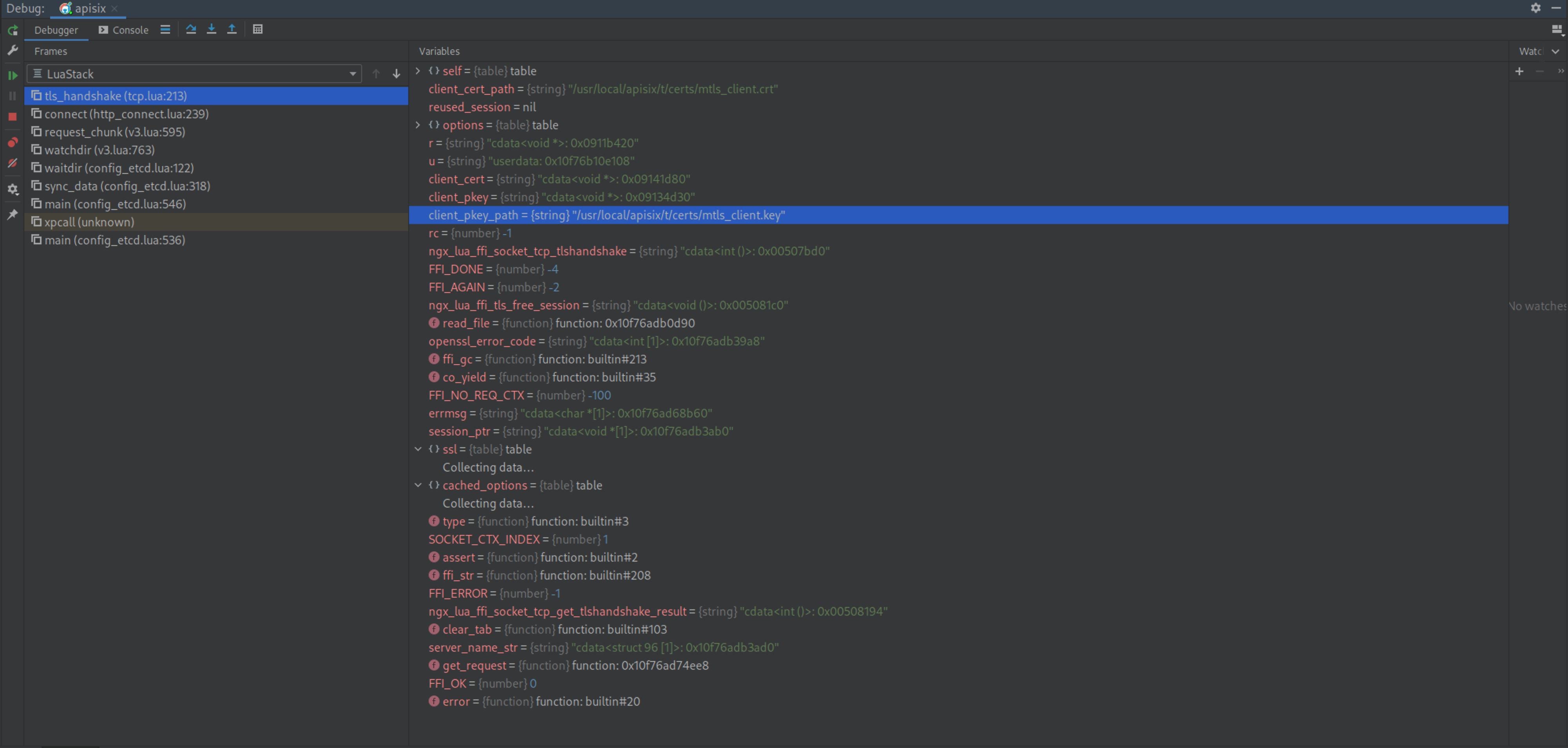 request help: An error is reported when the configuration is updated from etcd regularly · Issue ...