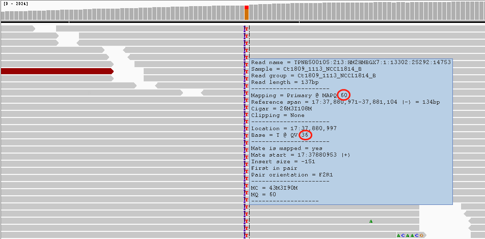 False negative mutation existed in bcftools(v1.9) mpileup SNP/InDel calling · Issue #885 ...
