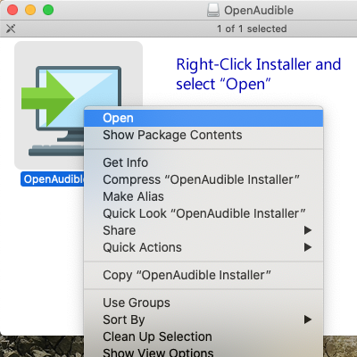macOS Catalina / Installer could not be opened · Issue #207 · openaudible/openaudible · GitHub
