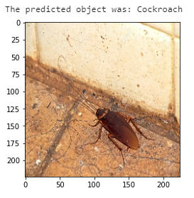 GitHub - Krupique/tensorflow-imgClassifier: A project using Tensorflow ...