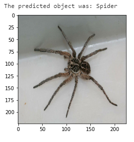 GitHub - Krupique/tensorflow-imgClassifier: A project using Tensorflow ...