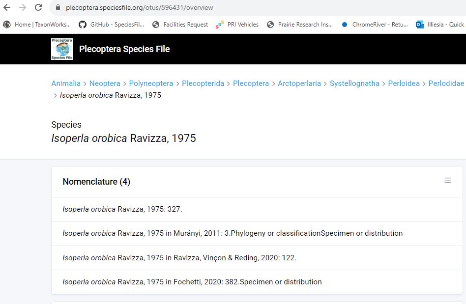 Isoperla orobica improperly spaced content · Issue #187 · SpeciesFileGroup/taxonpages · GitHub