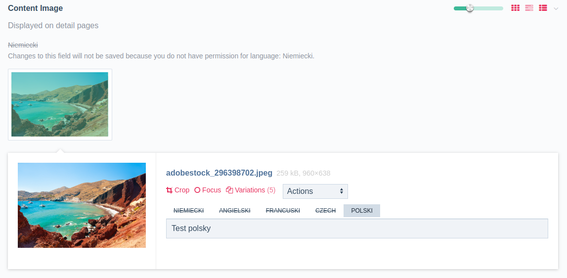 Multilanguage image description not saving with language specific edit permissions · Issue #1640 ...