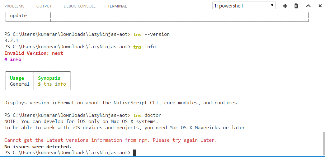 Tns info is not work on downloaded projects · Issue #1031 · NativeScript/nativescript-angular ...