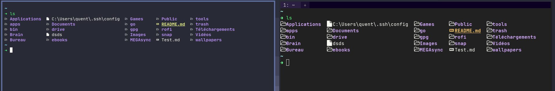 Running exa display wrong icon size · Issue #607 · wezterm/wezterm · GitHub