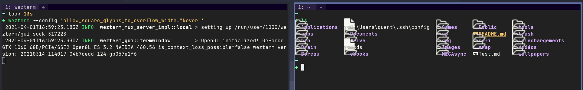 Running exa display wrong icon size · Issue #607 · wezterm/wezterm · GitHub
