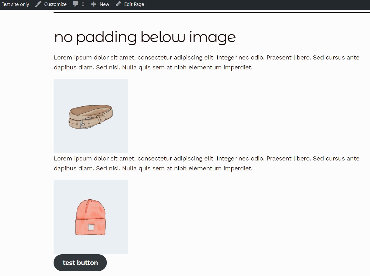 Image Block: no padding below image · Issue #7814 · WordPress/gutenberg · GitHub