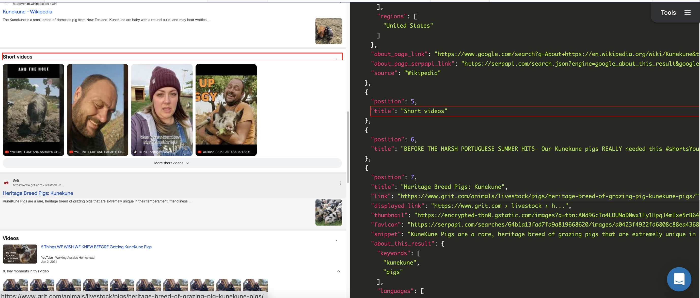 [Google Search API]`inline_videos` and `short_videos` blocks Scraped into `organic_results ...