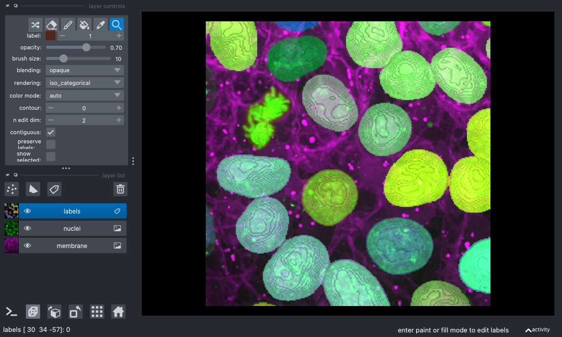 Labels "opaque" blending does not persist after click to canvas · Issue #5319 · napari/napari ...