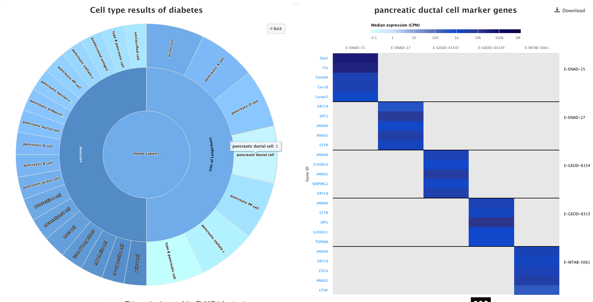 Numbers appearing after each value in tooltip box in metadata search wheel · Issue #202 · ebi ...