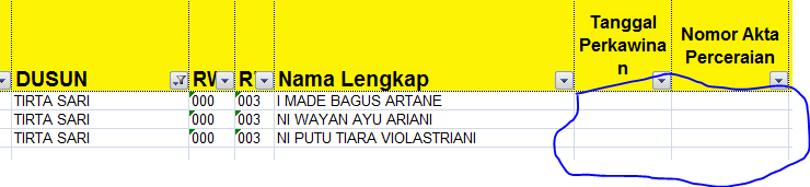Isian Kosong Namun Terisi "Kawin Tercatat" Saat Import Data Penduduk ...