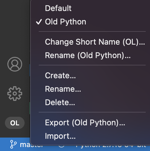 Ruff extension loaded but not running · Issue #102 · astral-sh/ruff-vscode · GitHub