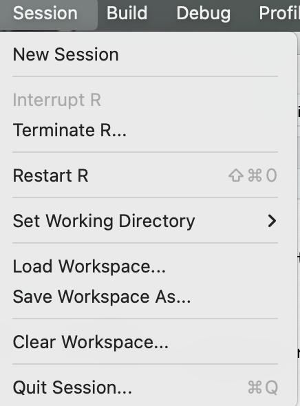 Electron: Session -> Interrupt R is always enabled and clickable ...