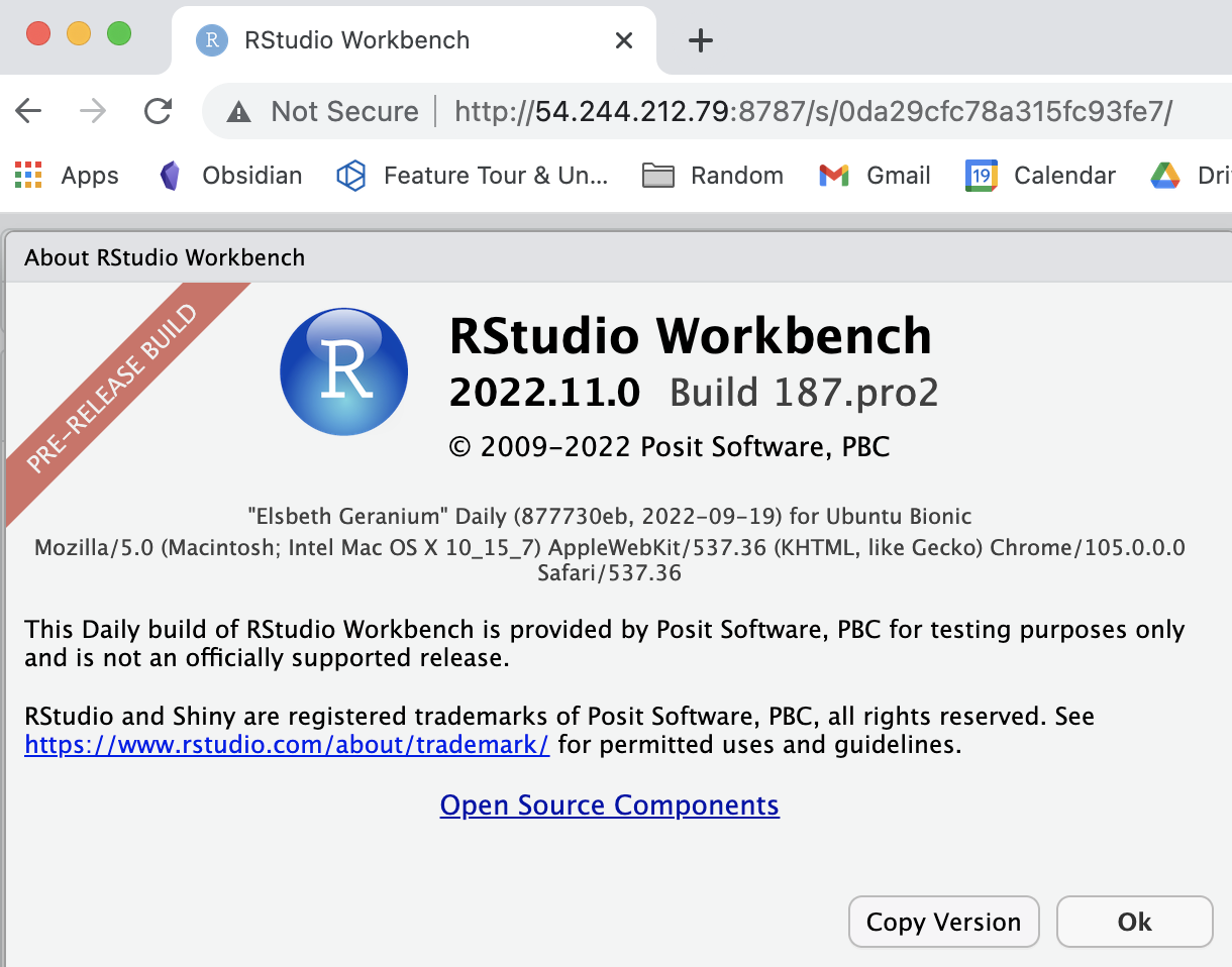 Rebrand: "RStudio Pro" when launched from Workbench · Issue #11838 · rstudio/rstudio · GitHub