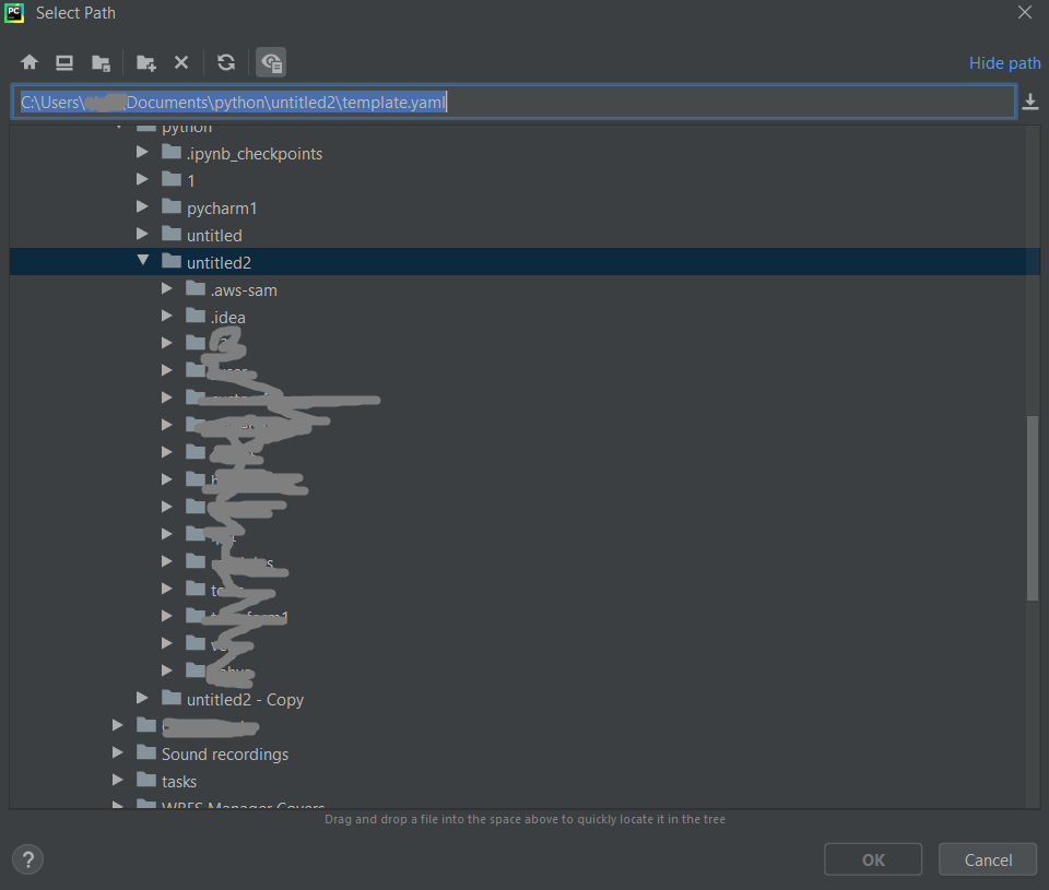 Aws Toolkit Does Not Pick Up The Templateyaml In Local Function
