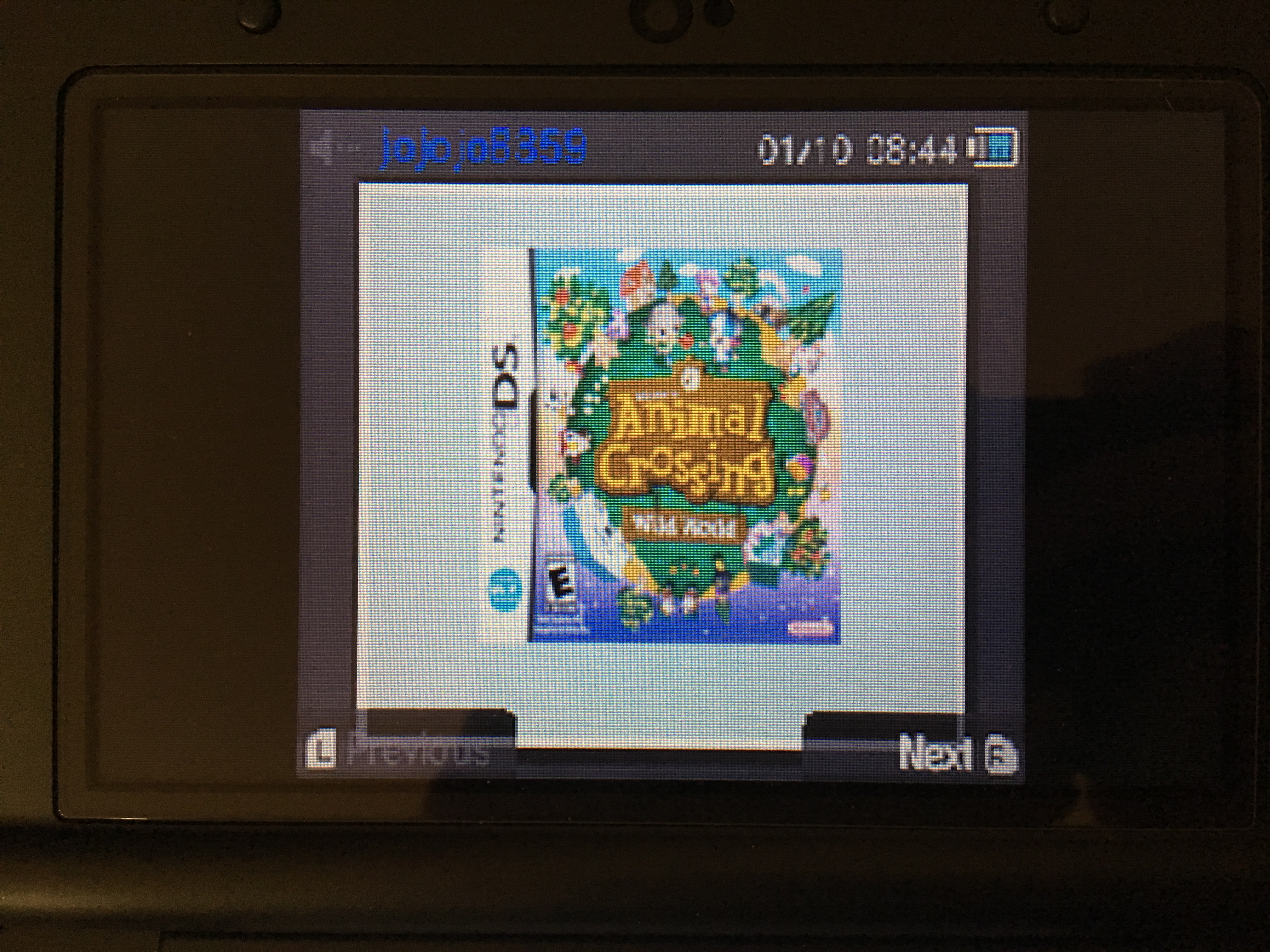 Top menu screen gets squished in widescreen mode · Issue #1304 · DS ...