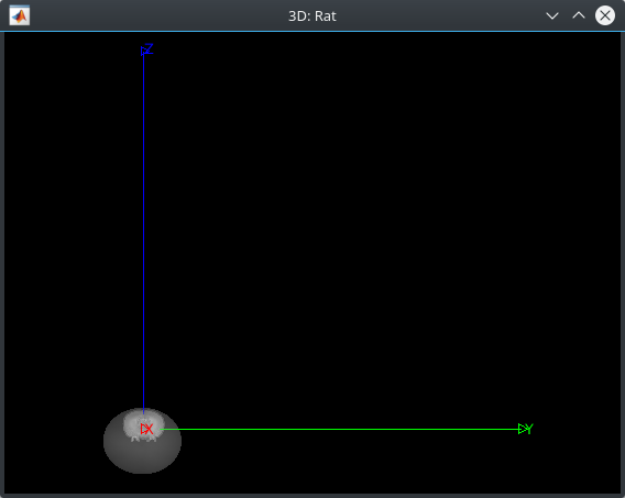 MRI viewer offset · Issue #263 · brainstorm-tools/brainstorm3 · GitHub