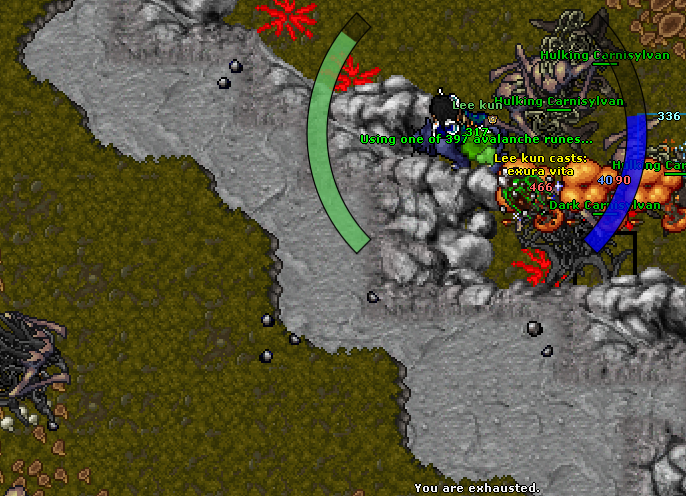 Summer Update 2021 · Issue #160 · tibiamaps/tibia-map-data · GitHub