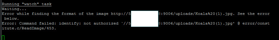 Broken images · Issue #356 · voidlabs/mosaico · GitHub