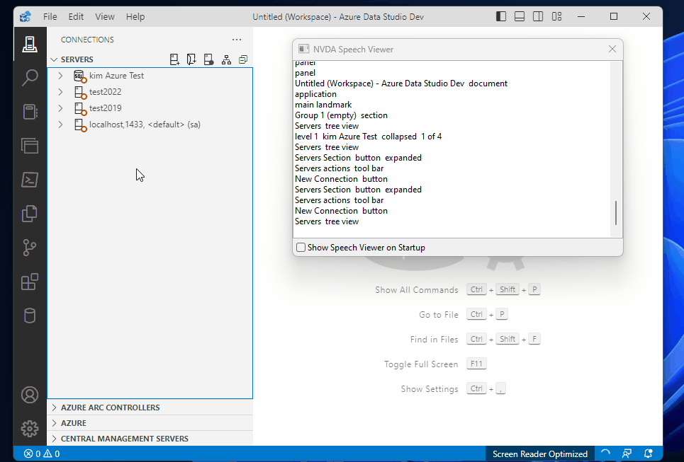 A11y_SQL Azure Data Studio_Connect to a SQL Server_AI4D: Name is not defined for "New Connection ...