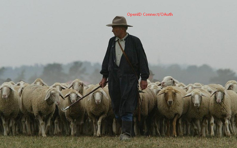 Creating Jwtsecuritytoken Vs Using Openid Connect For Web Api · Issue 4658 · Dotnetaspnetcore