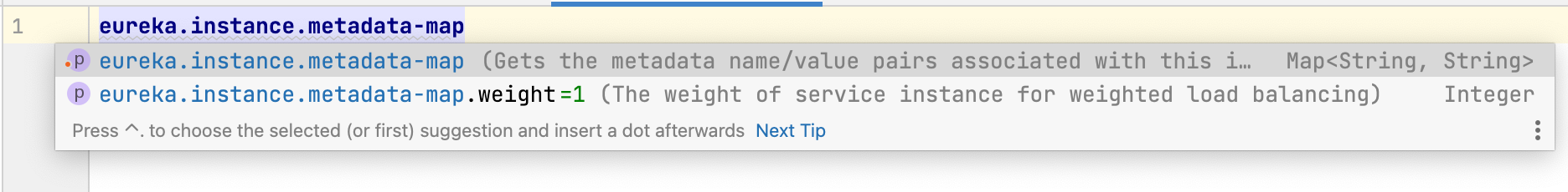 Add Additional Spring Configuration Metadata For Predefined Metadata Map Keys · Issue 4125