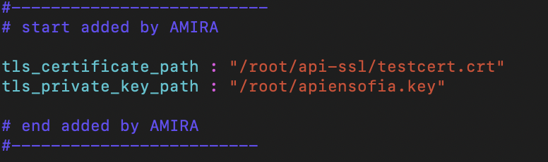 install synapse on docker with ssl certificate does not work · Issue #5828 · matrix-org/synapse ...