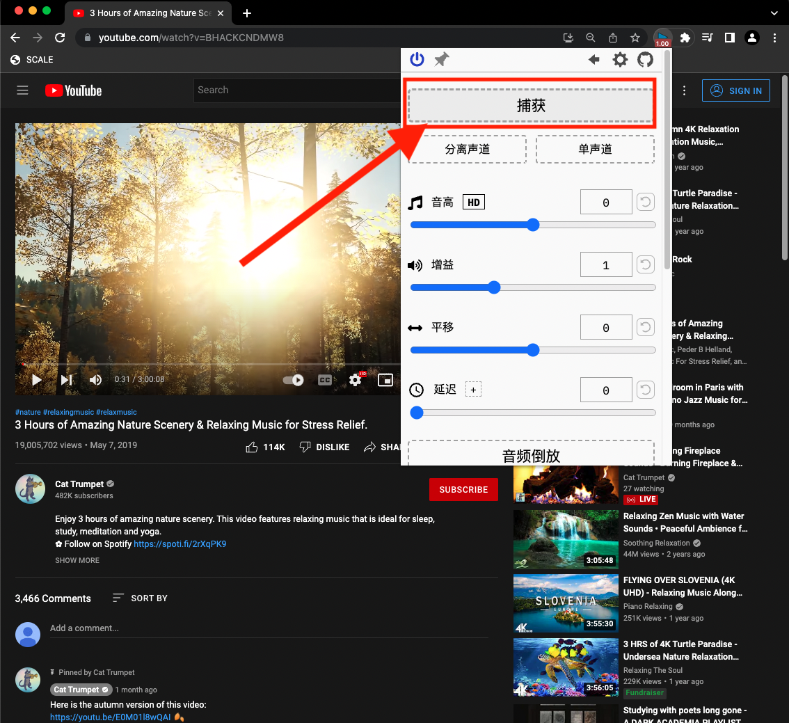 非常希望添加以網頁全屏模式播放的功能（含auto toggle開關） · Issue #274 · polywock/globalSpeed · GitHub