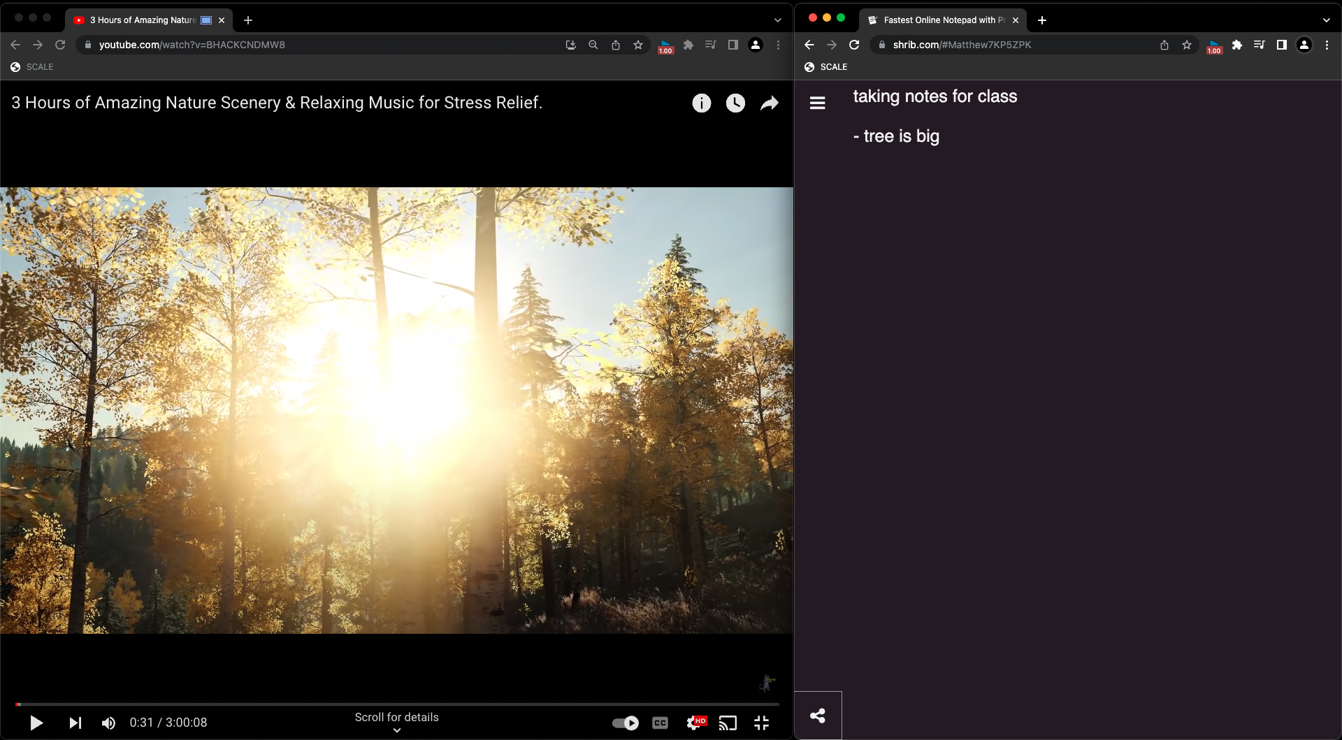 非常希望添加以網頁全屏模式播放的功能（含auto toggle開關） · Issue #274 · polywock/globalSpeed · GitHub