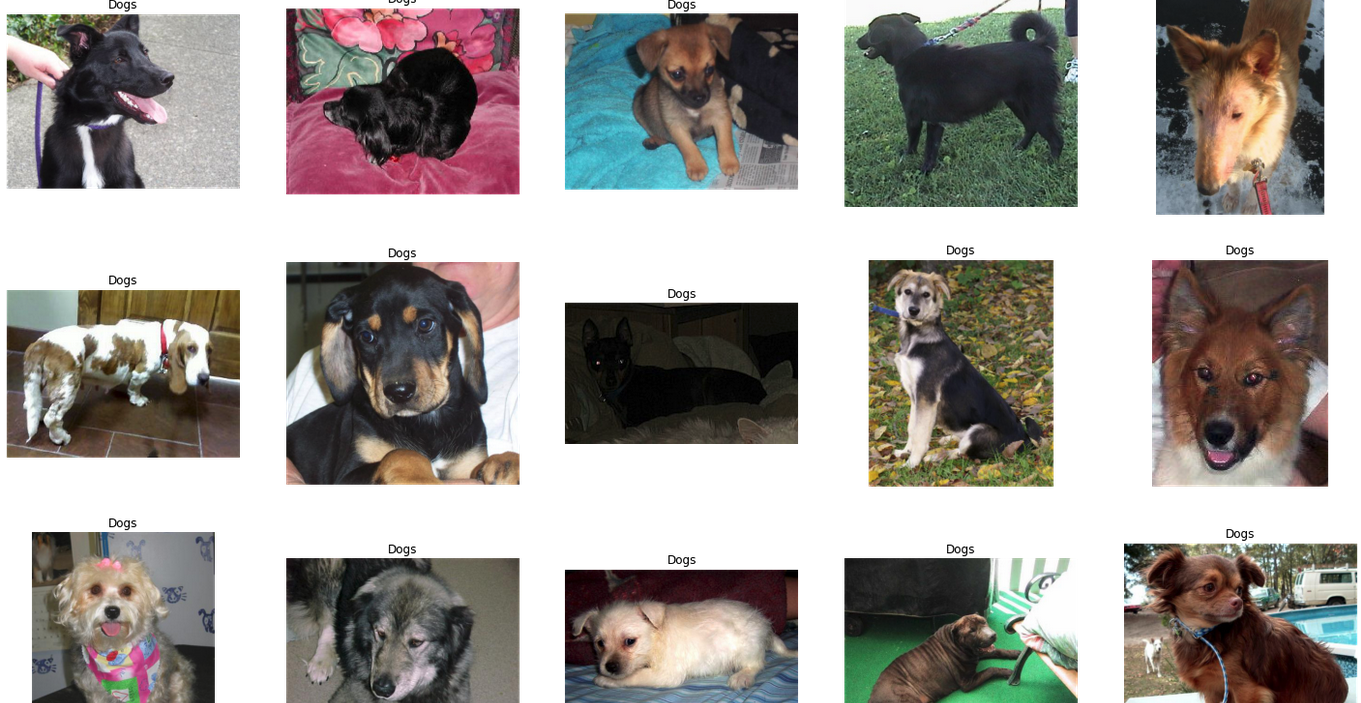 GitHub - tasfiaSeuti/Dog-Cat-Classification--CNN