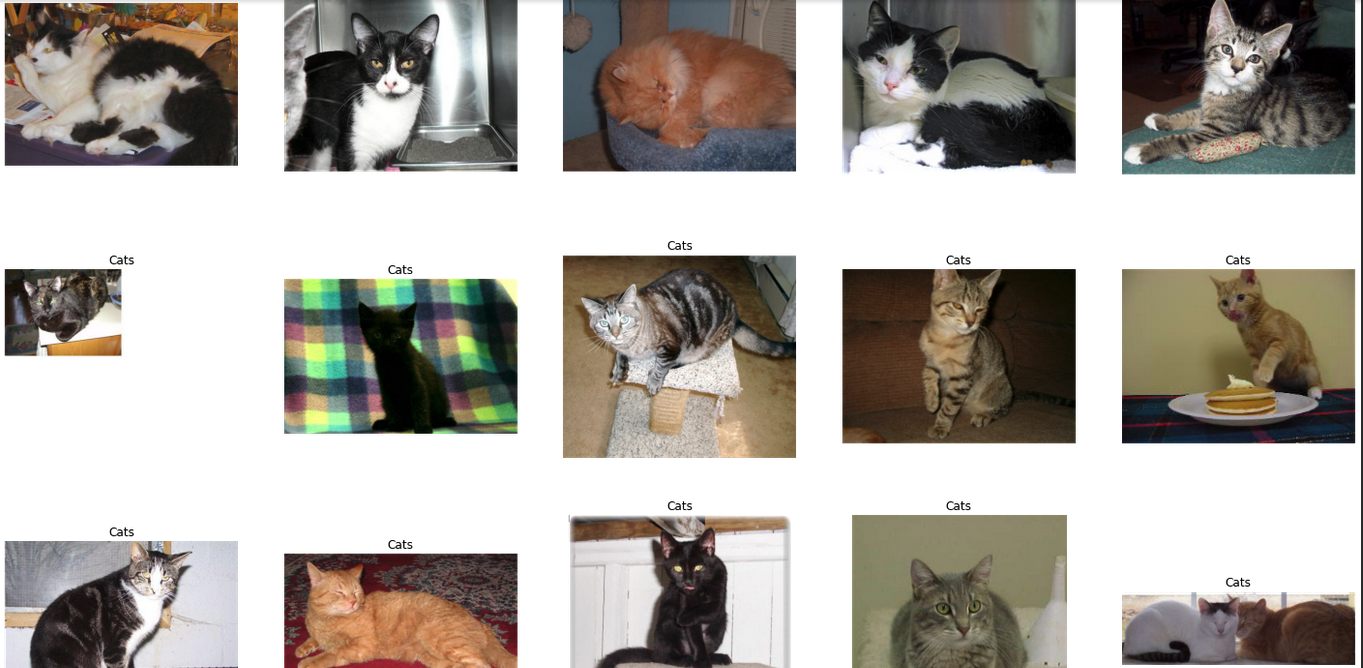 GitHub - tasfiaSeuti/Dog-Cat-Classification--CNN