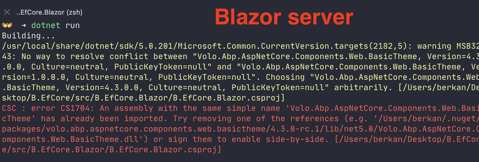 When I add the basic theme for Blazor Wasm and Server with source code, I cannot run the project ...
