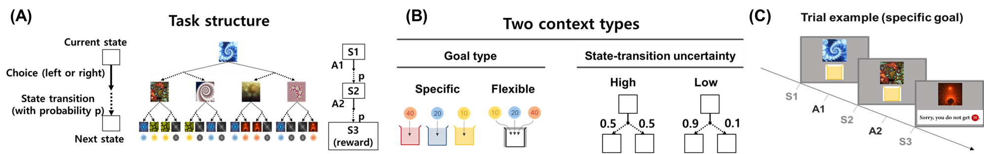 GitHub - brain-machine-intelligence/bigbrain-task