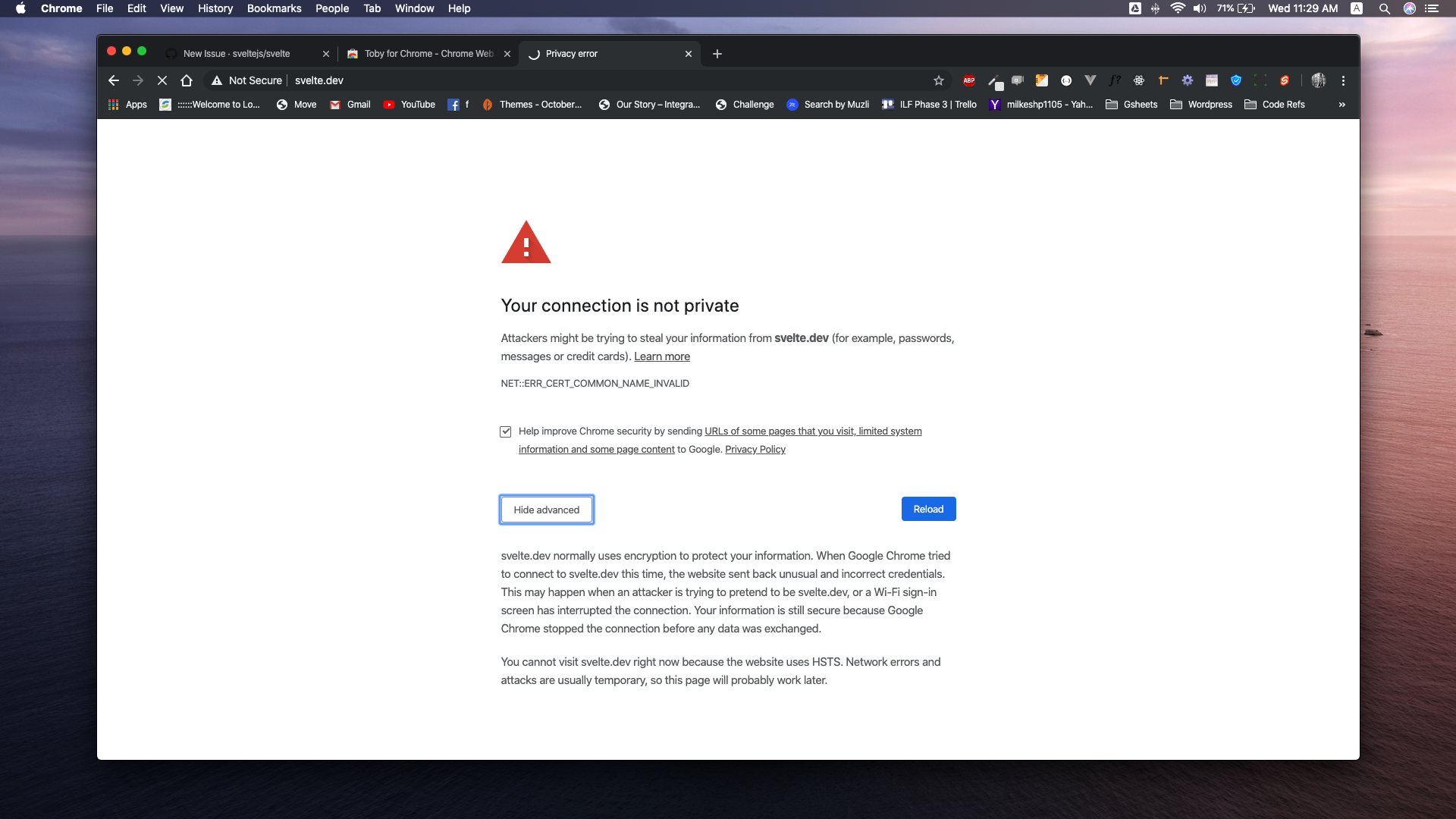 Svelte Website Not Accessible · Issue 3959 · Sveltejssvelte · Github