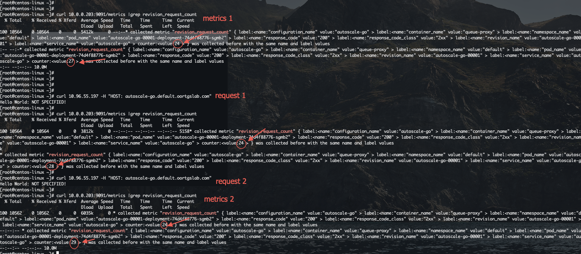 Queue Proxy 9091 Metrics Internal Error Collected Metric Xxx Was Collected Before With The