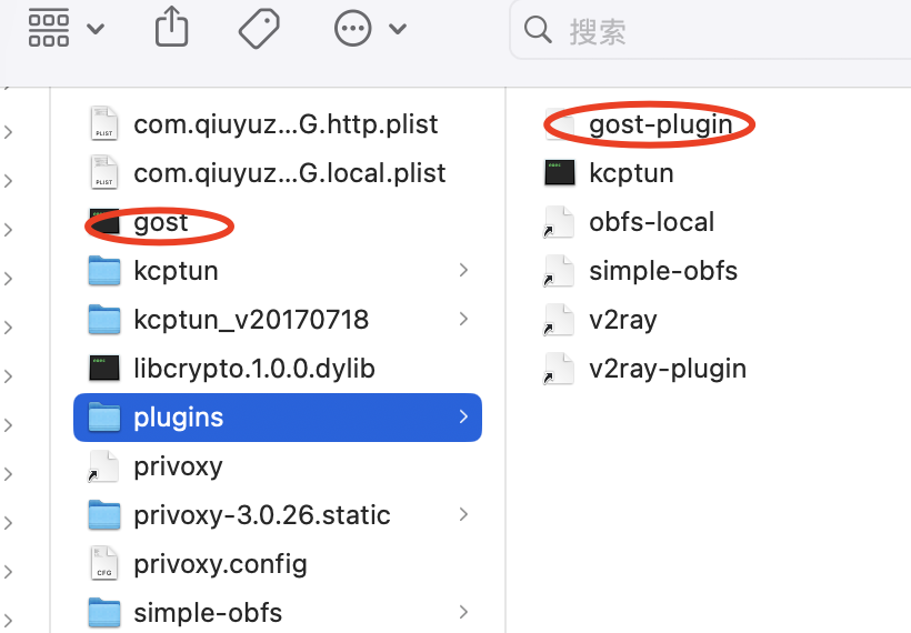 服务器设置配ip可以，但是改成域名就不行了 · Issue #7 · lewangdev/ShadowsocksX-NG-GostPlugin · GitHub