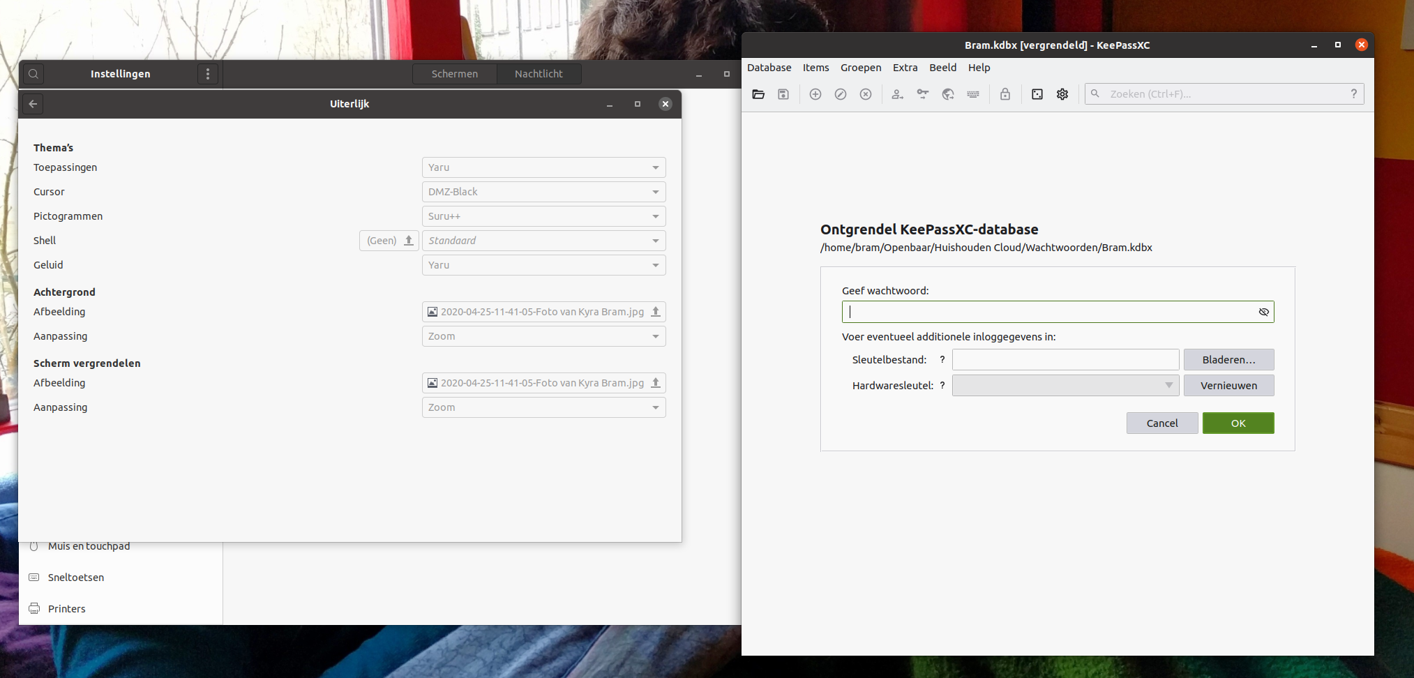 Automatic theme change using Snap · Issue #4972 · keepassxreboot ...