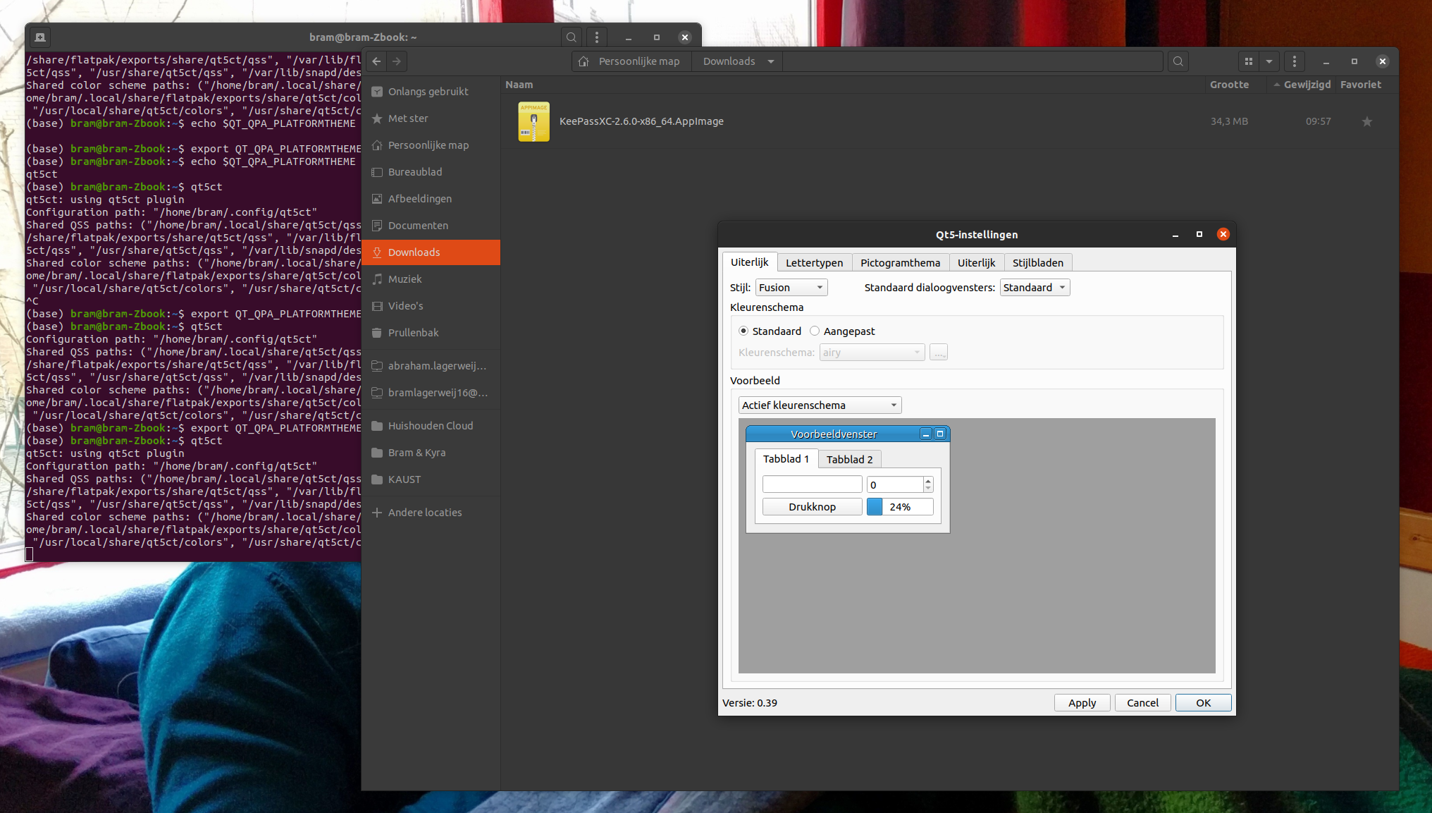 Automatic theme change using Snap · Issue #4972 · keepassxreboot/keepassxc · GitHub
