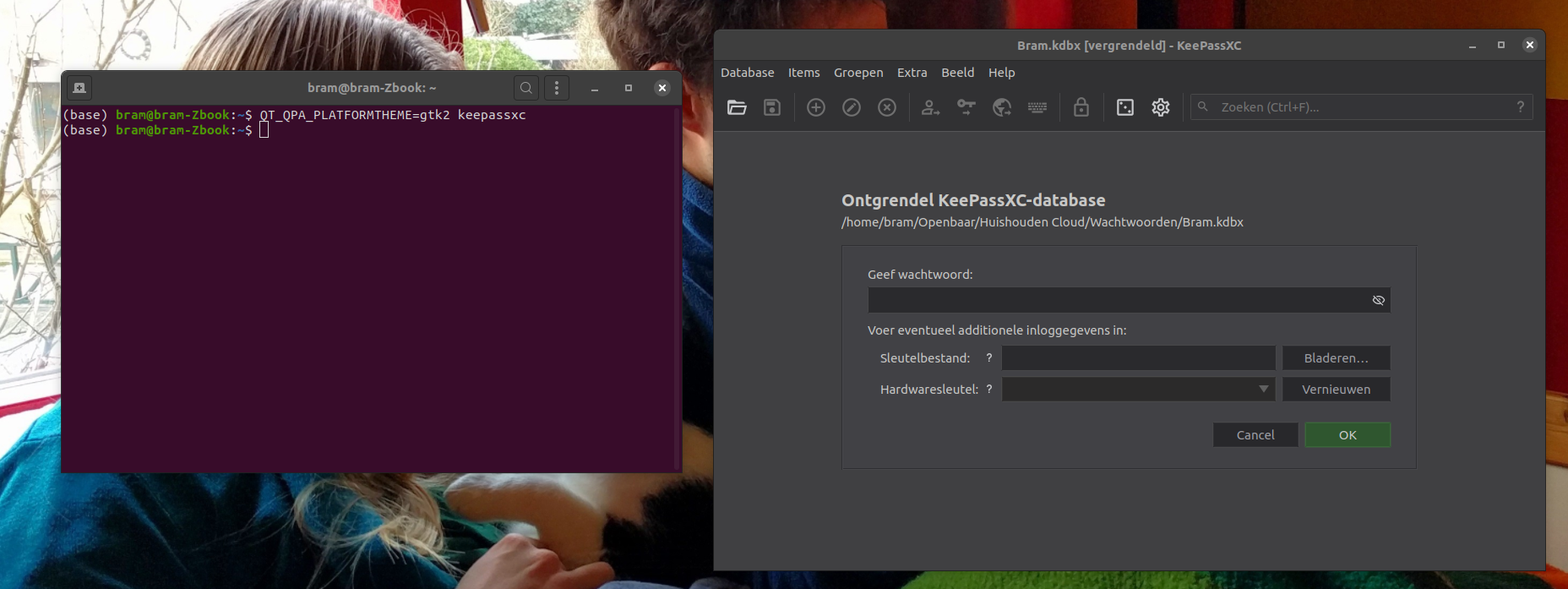 Automatic theme change using Snap · Issue #4972 · keepassxreboot/keepassxc · GitHub