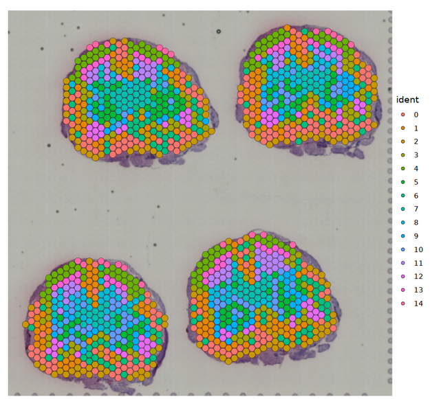 Spatialdimplot Cannot Adjust Opacity Whith Alpha Parameter · Issue 4526 · Satijalabseurat